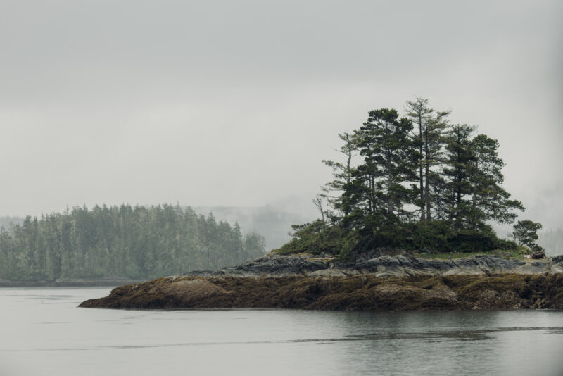 Explainer: Why IPCAs are the future of conservation in Canada | The Narwhal
