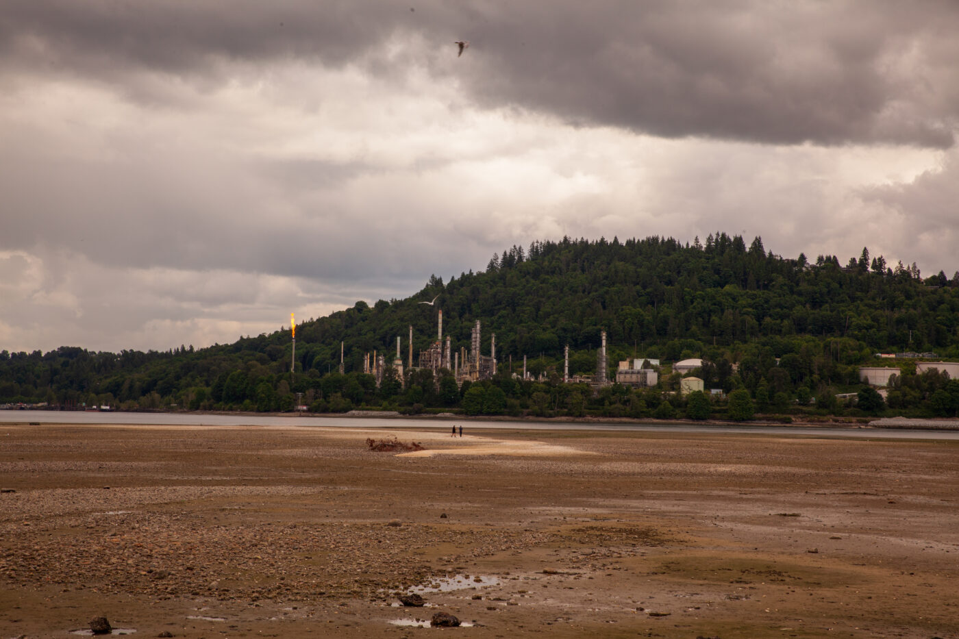 A portrait of pollution around the Port of Vancouver | The Narwhal