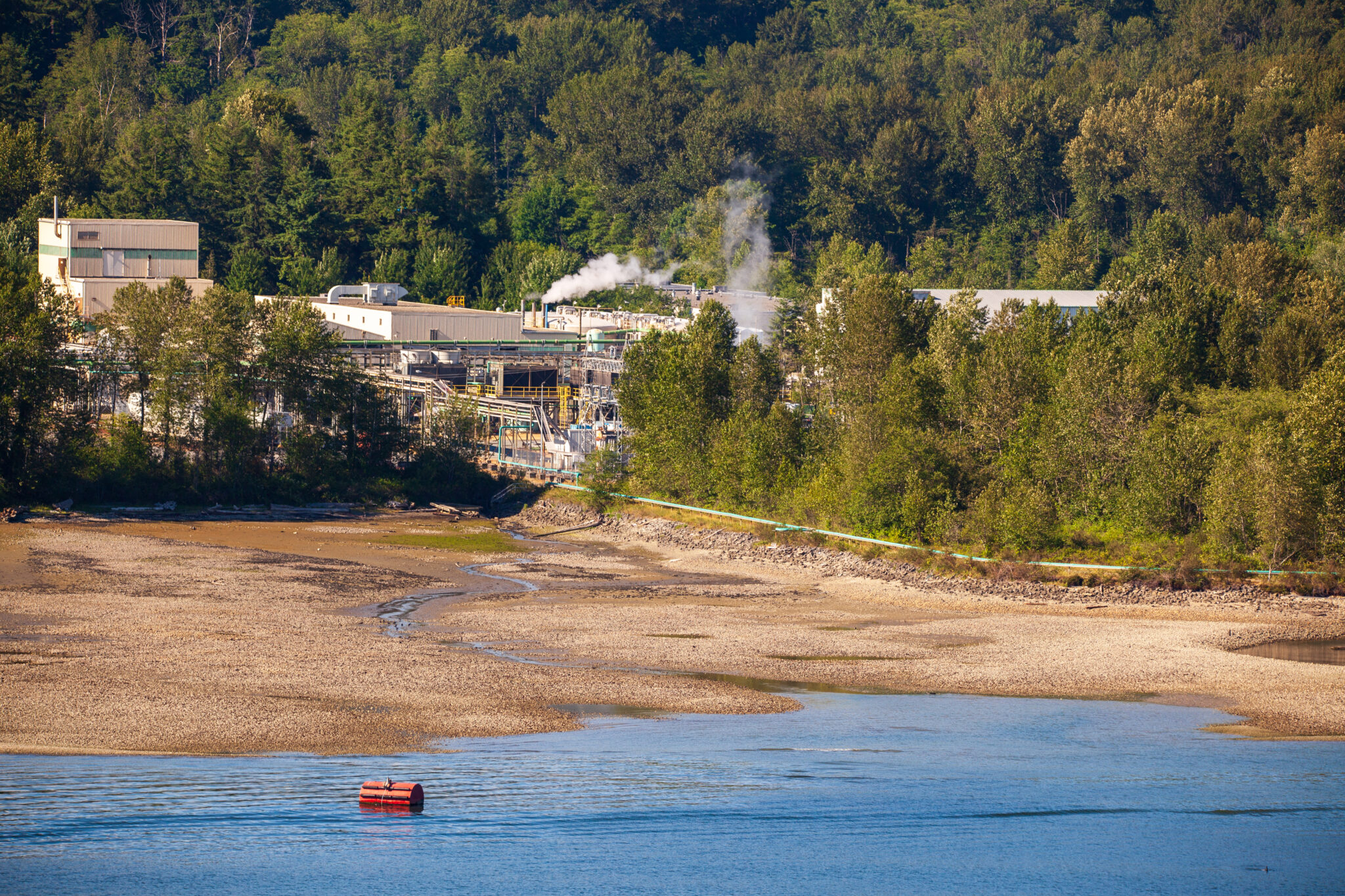 Confronting Vancouver’s devastation of Burrard Inlet | The Narwhal