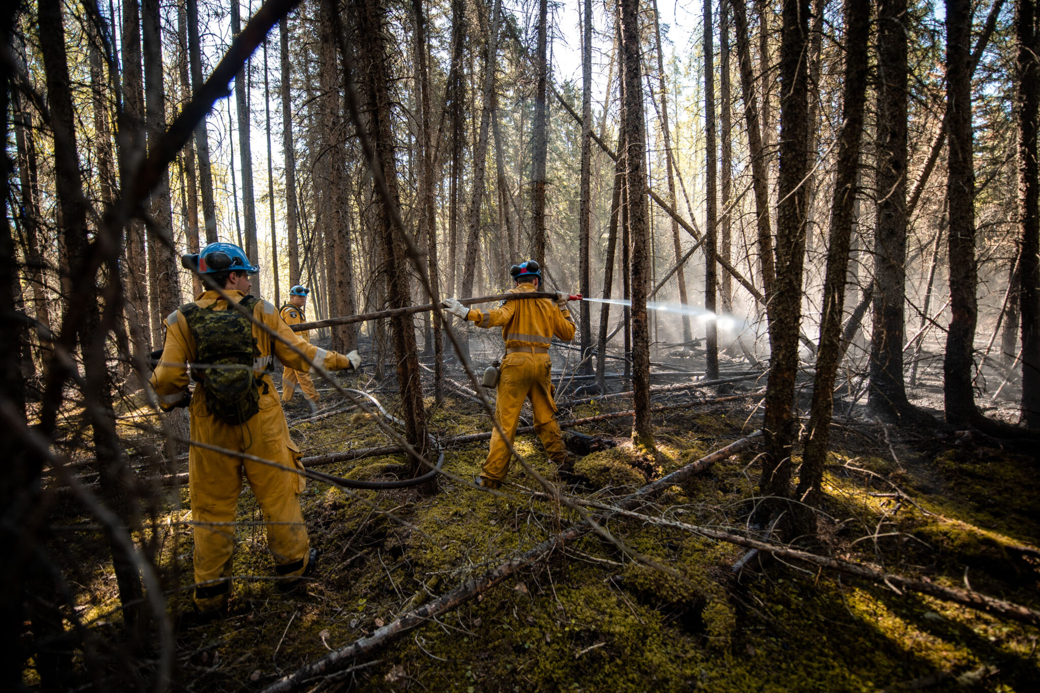 How Canada’s wildfires start: climate misinformation explained | The ...