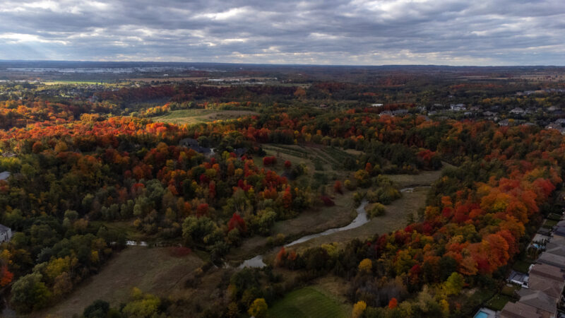 Construction starting on Highway 413: what you need to know | The Narwhal