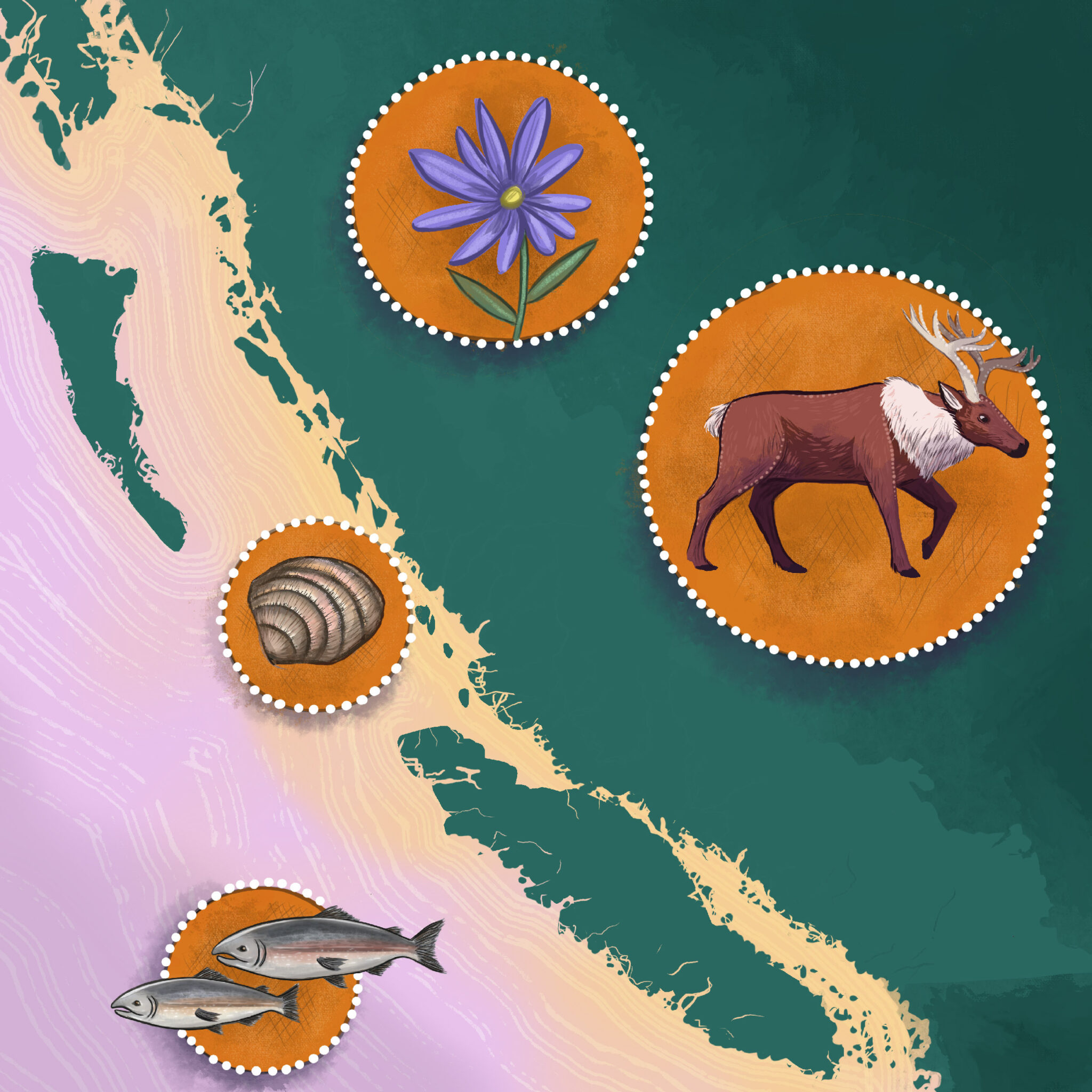 First Nations fight to bring traditional foods back to the table | The ...