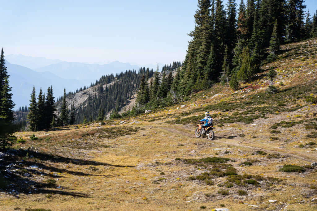 B.C.’s forestry roads open the backcountry — is that bad? | The Narwhal