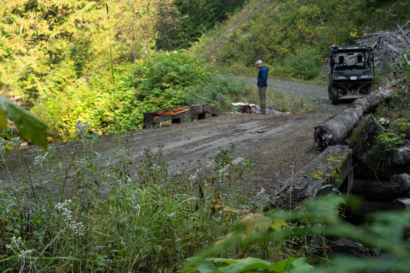 B.C.’s forestry roads open the backcountry — is that bad? | The Narwhal