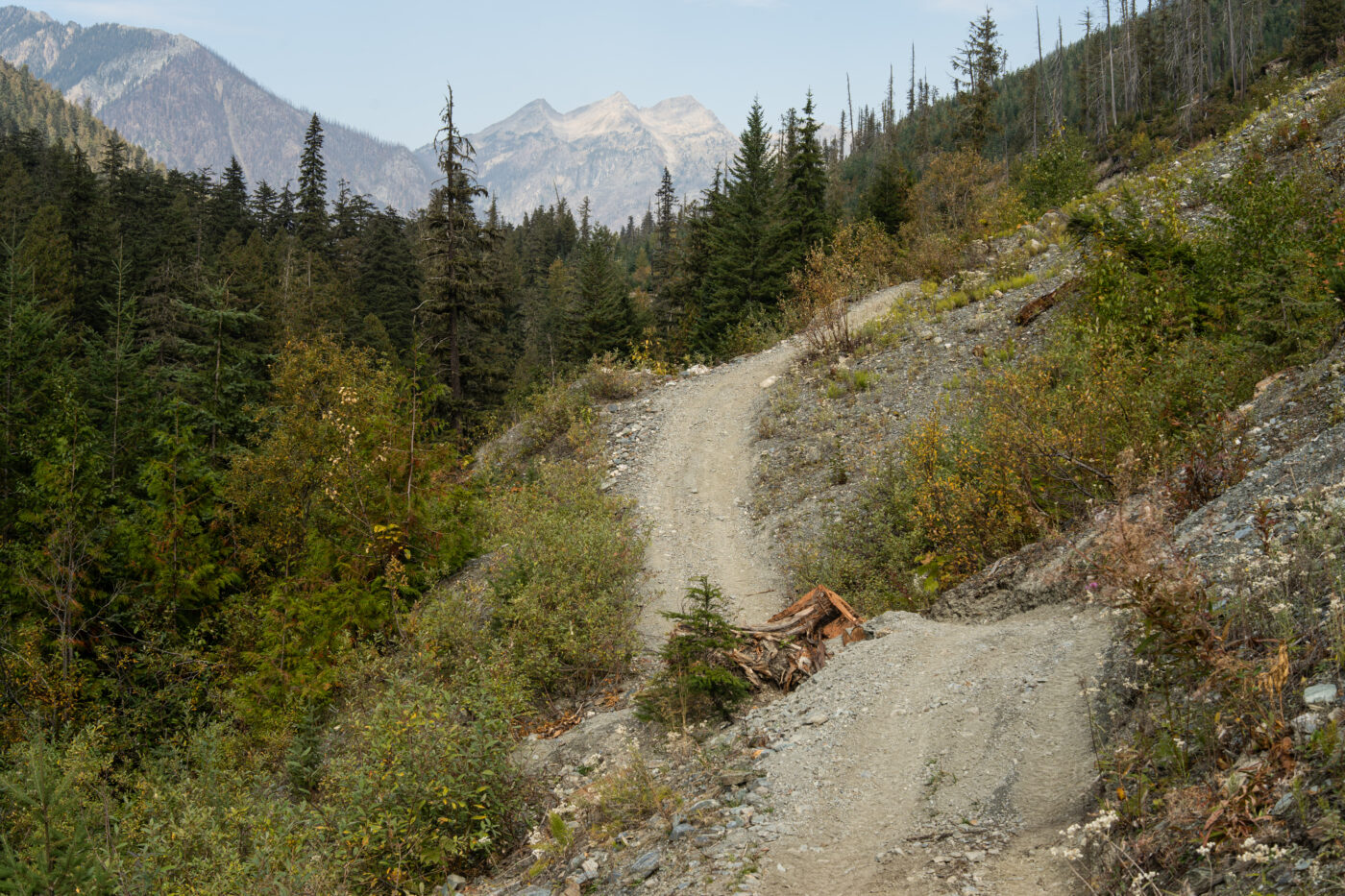 B.C.’s forestry roads open the backcountry — is that bad? | The Narwhal