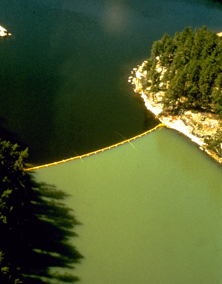 What is Ontario's experimental lakes area? | The Narwhal