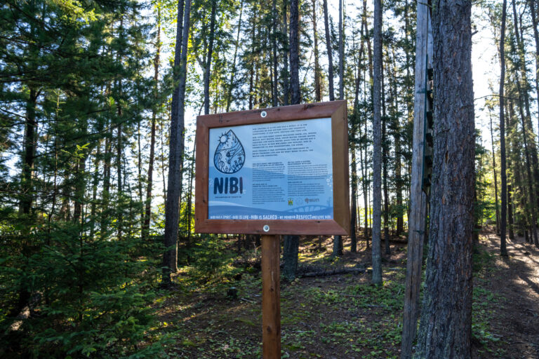 What is Ontario's experimental lakes area? | The Narwhal