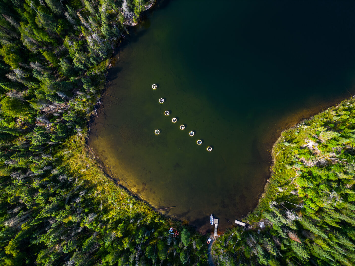 What is Ontario's experimental lakes area? | The Narwhal