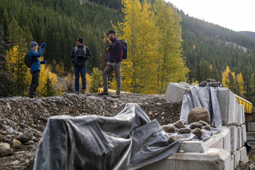 Tensions over logging and development in the Rockies | The Narwhal