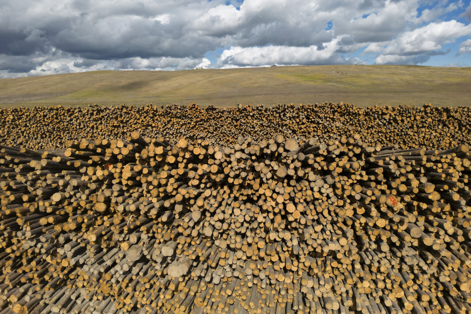 In Alberta viewscapes, mining, logging, sprawl OK — but no wind farms ...