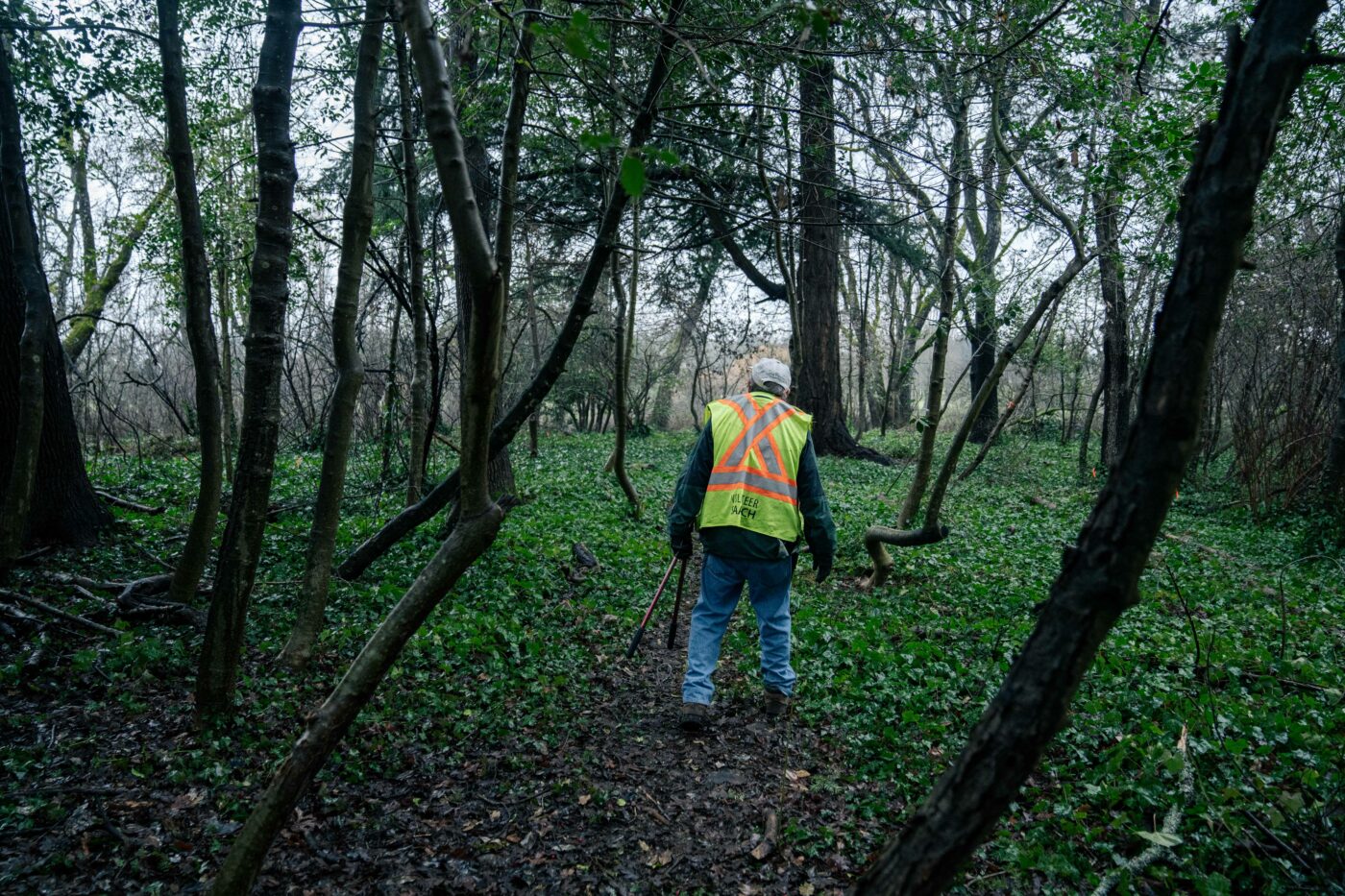 B.C. Bill 44 could trigger ‘catastrophic loss’ of urban forests | The ...