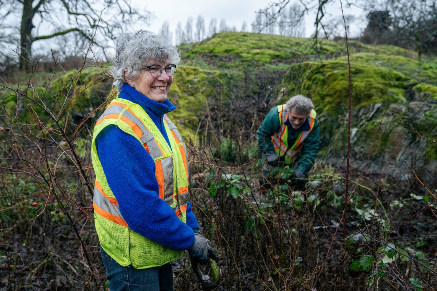 B.C. Bill 44 could trigger ‘catastrophic loss’ of urban forests | The ...