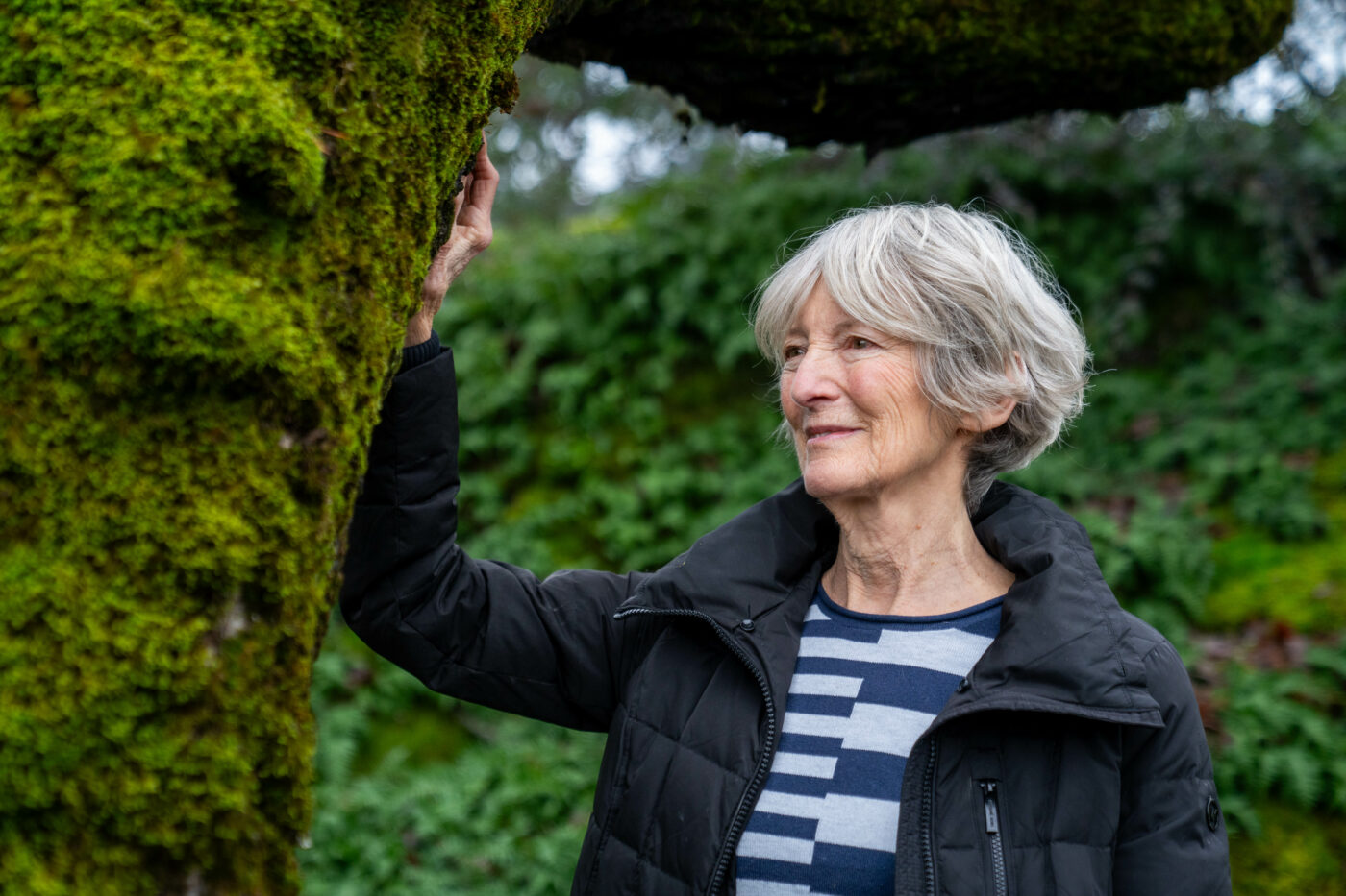 B.C. Bill 44 could trigger ‘catastrophic loss’ of urban forests | The ...