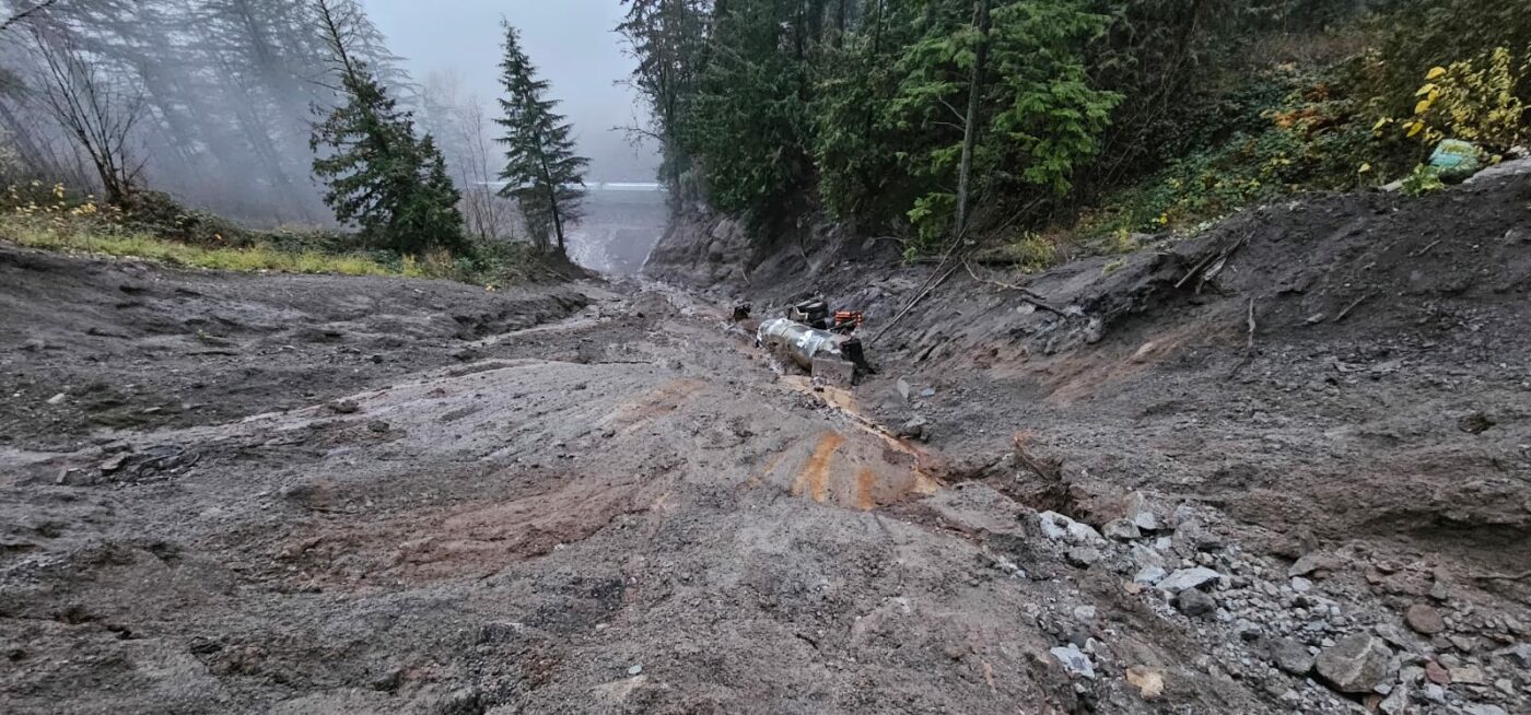 Why Fraser River oil spill took nearly 3 months to start cleaning | The ...