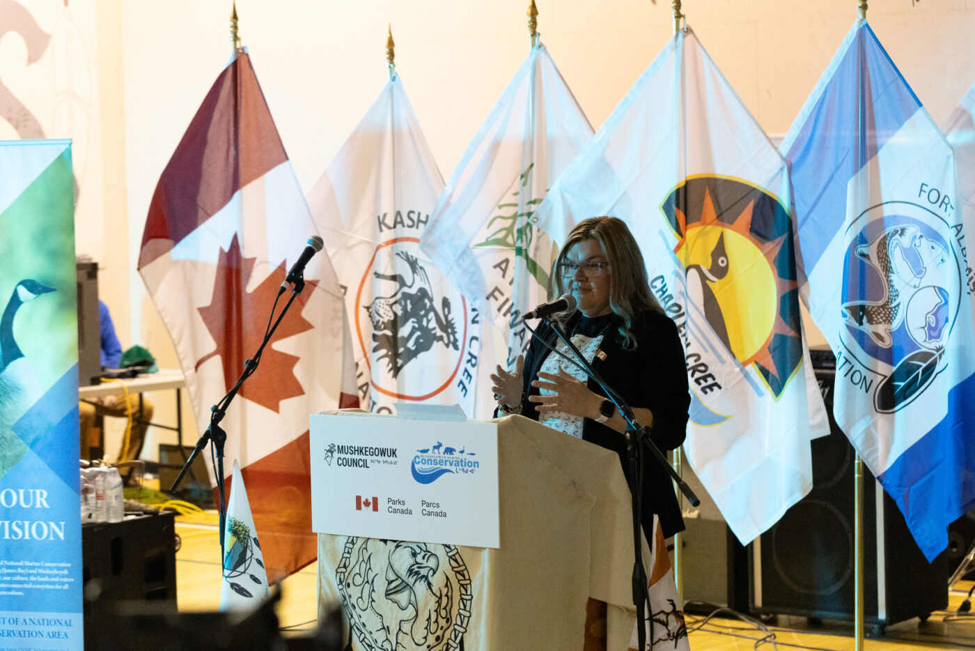 The Indigenous-led plan to protect a vast swath of northern Ontario ...