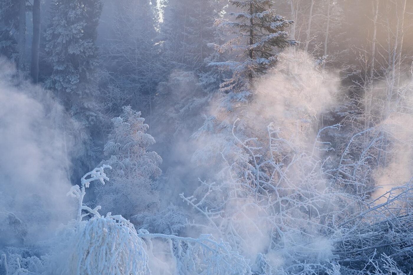 Fort Nelson fire: B.C.’s northeast is ablaze — already | The Narwhal