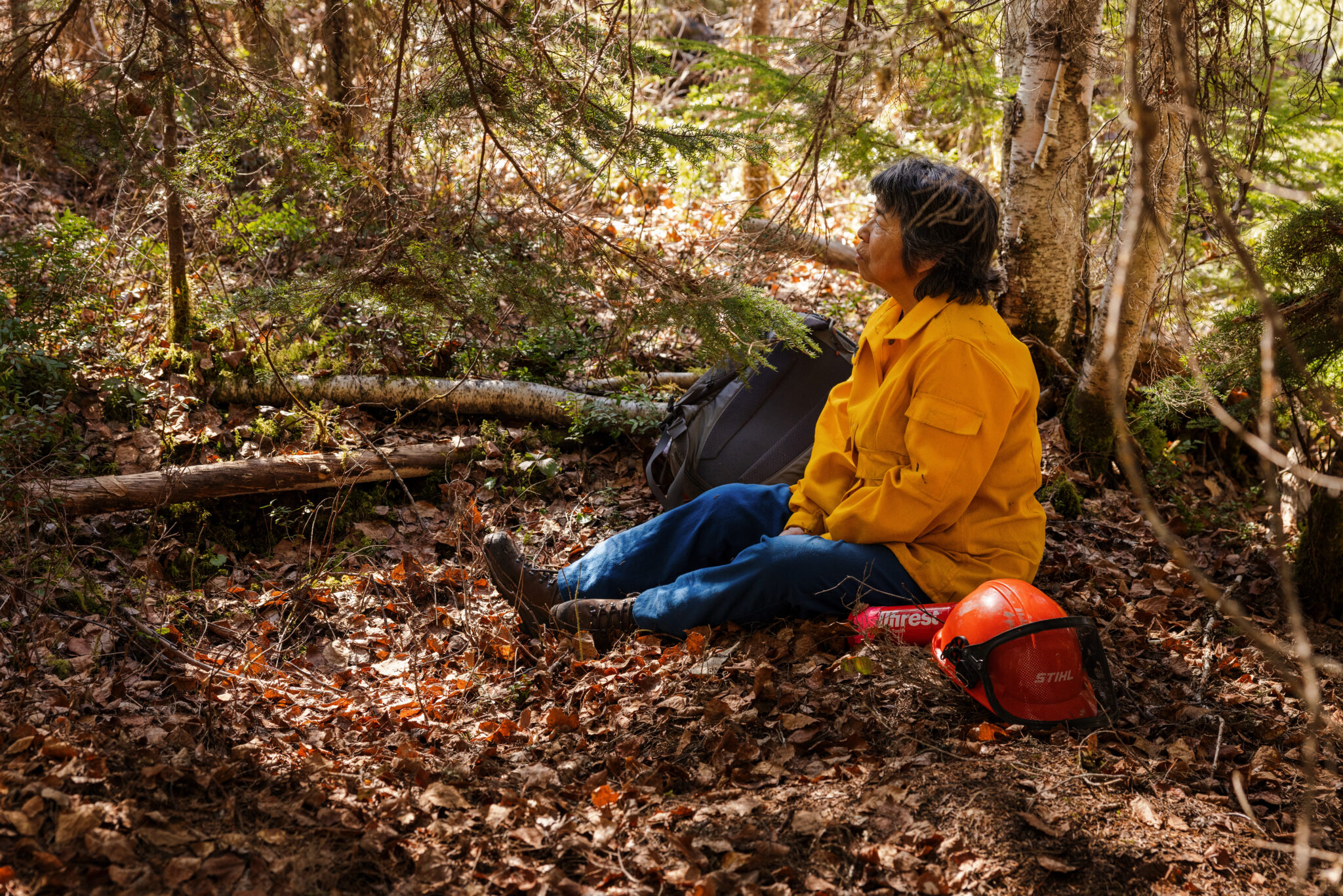 Using fire to heal the land — and mitigate B.C. wildfires | The Narwhal