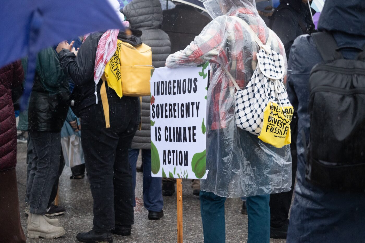 RBC on defensive over fossil fuel critiques | The Narwhal