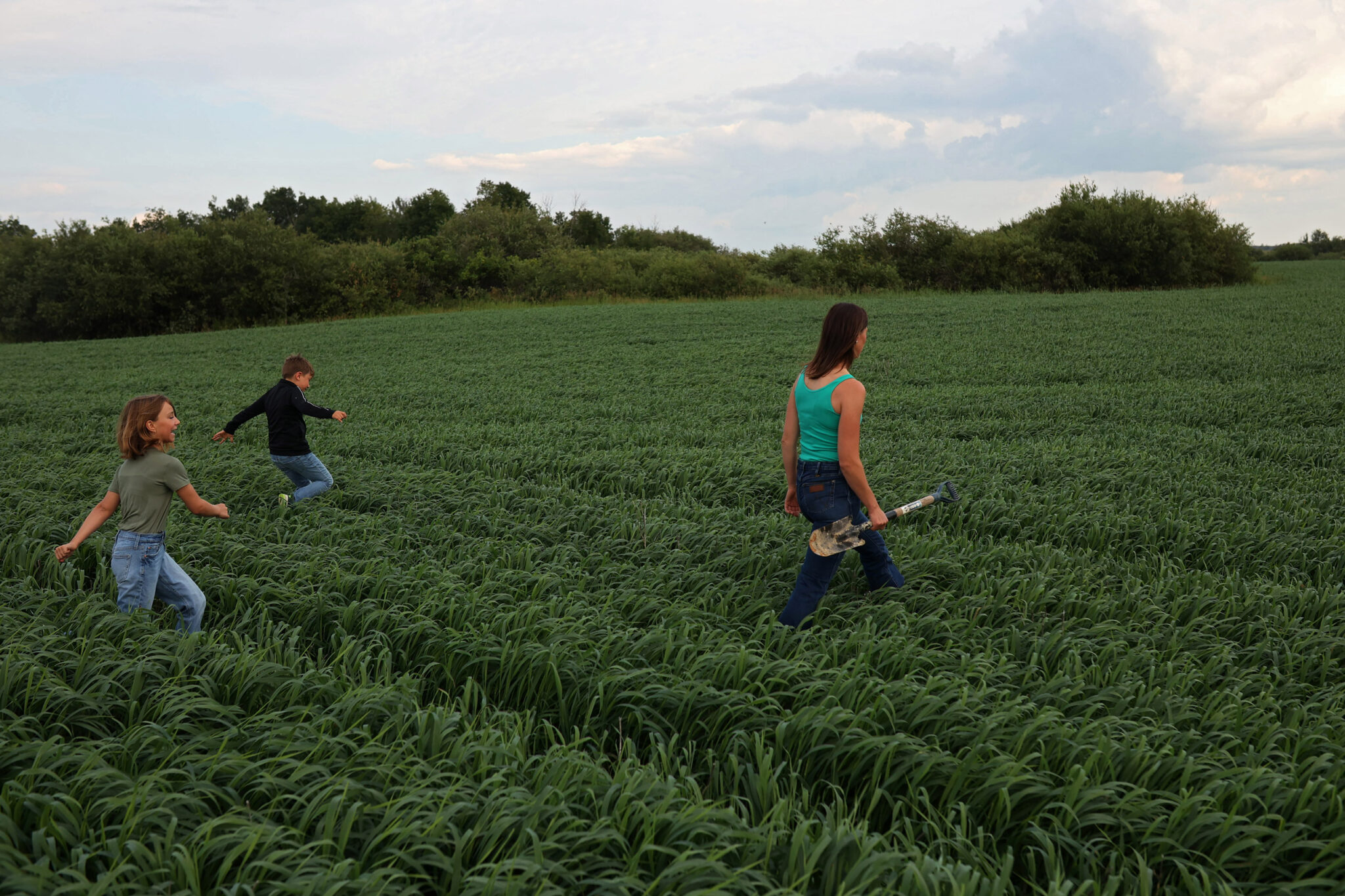 Can high-tech farming help curb climate change? | The Narwhal