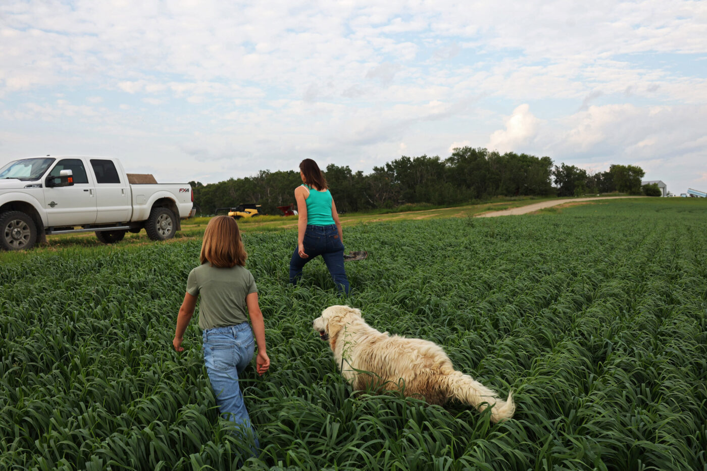 Can high-tech farming help curb climate change? | The Narwhal