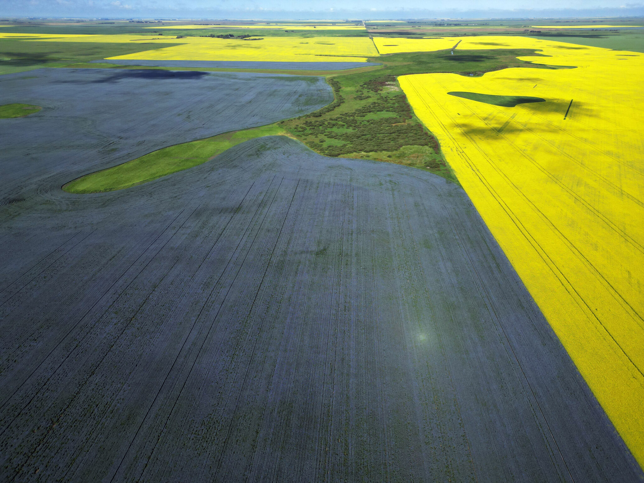 Can high-tech farming help curb climate change? | The Narwhal