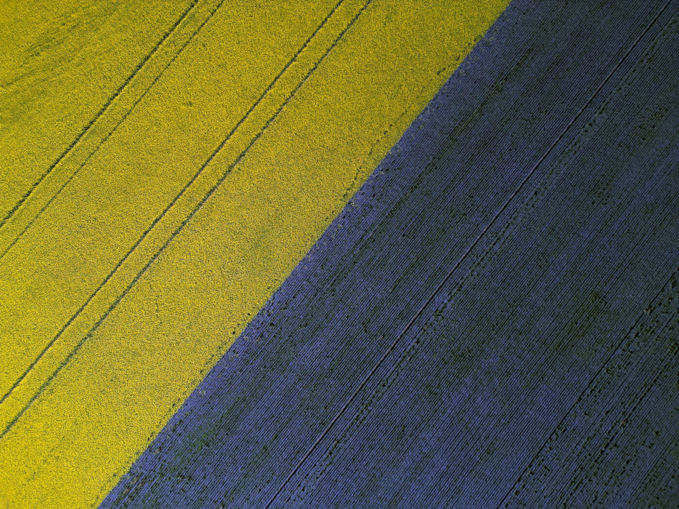 Can high-tech farming help curb climate change? | The Narwhal