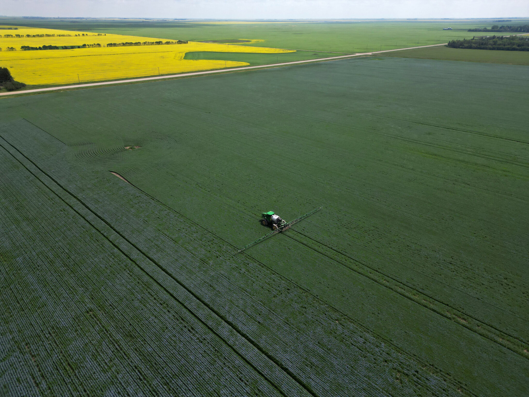 What is potash? A Canadian export at centre of U.S. tariffs | The Narwhal
