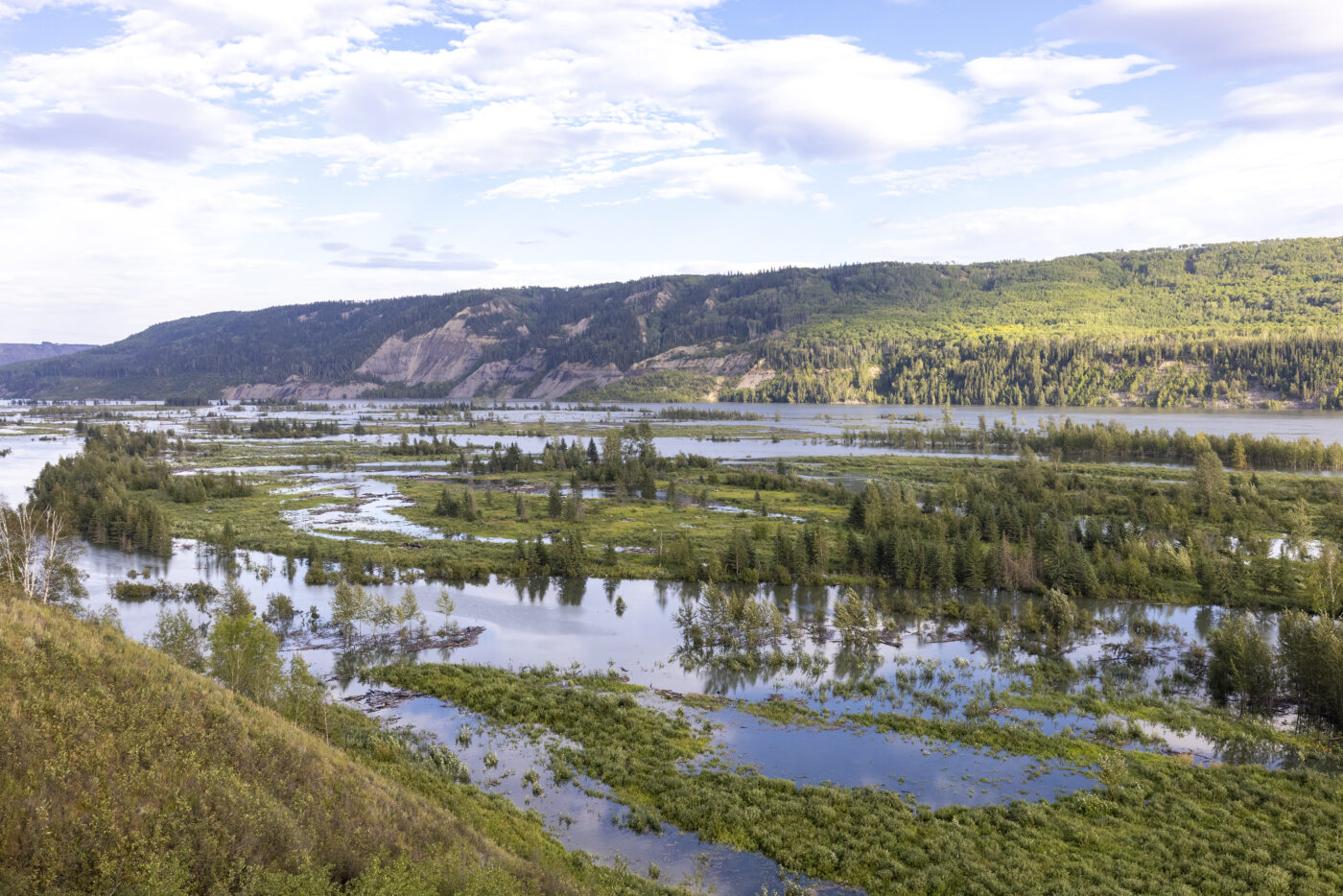 $16B later, Site C dam flooding begins along Peace River | The Narwhal