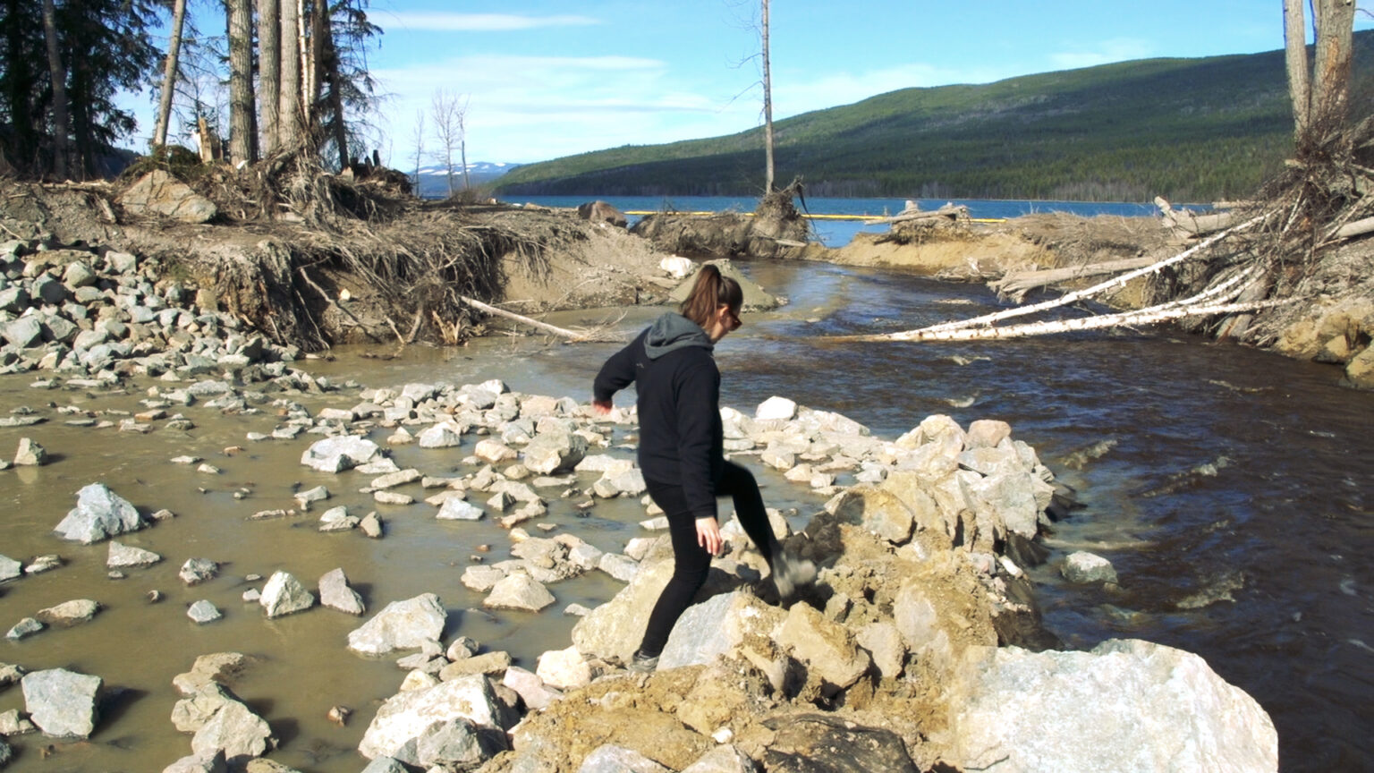 Mount Polley mine disaster: news and information | The Narwhal