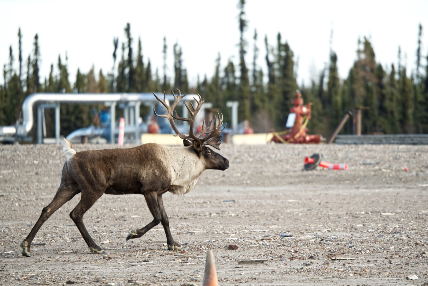 How wealthy Canadians donate to charity — and also fund mining ...