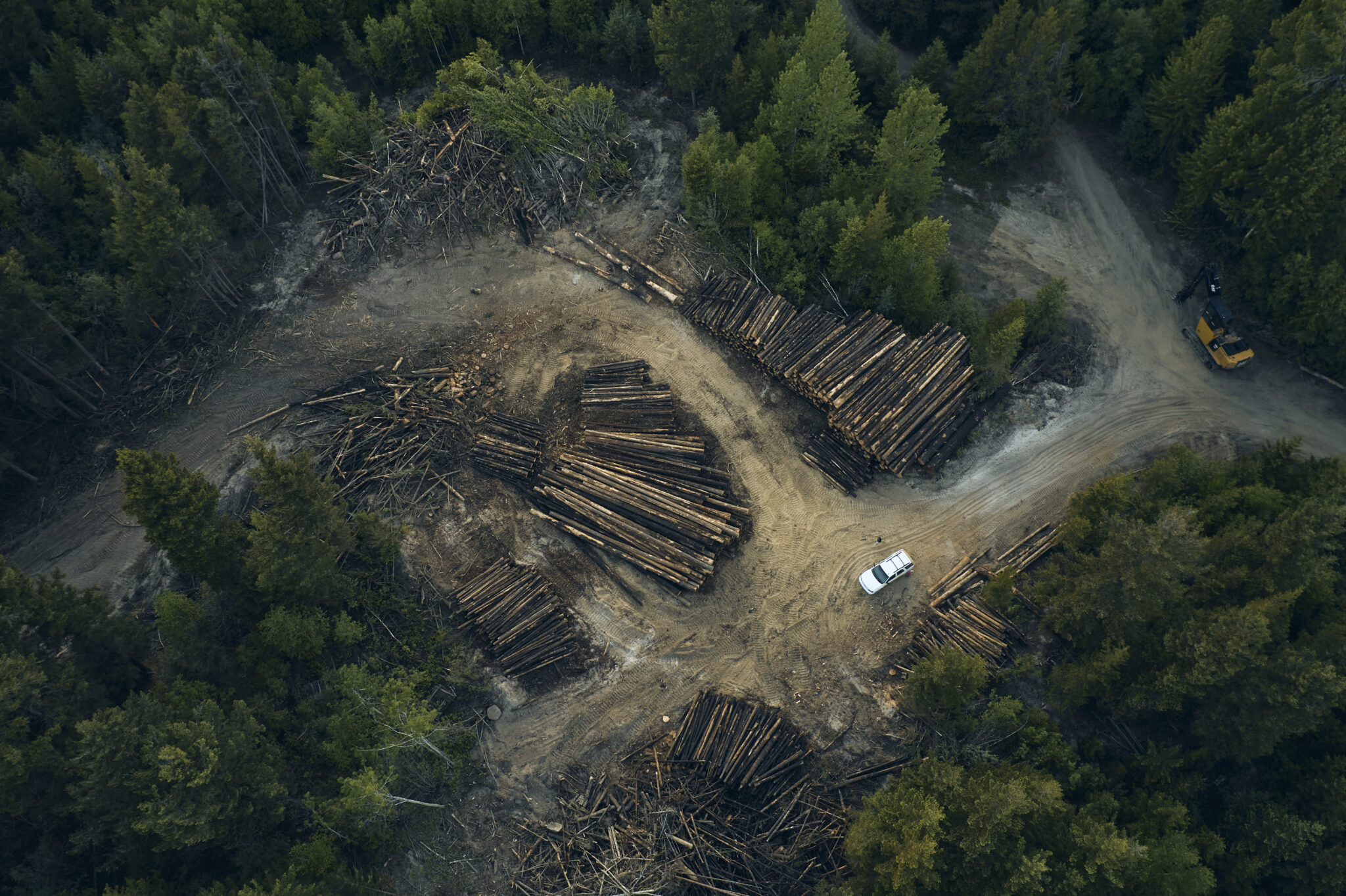 Salvage logging after B.C. wildfires: a lucrative industry, explained ...