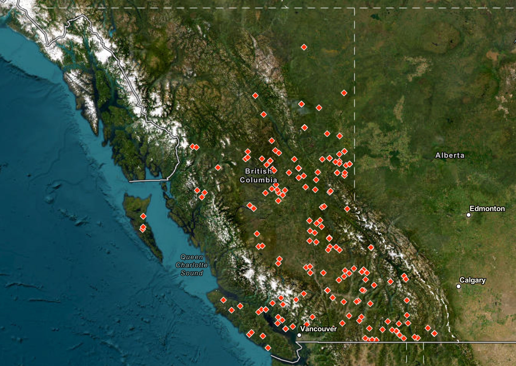 Here’s where companies logged B.C. forests without permission | The Narwhal