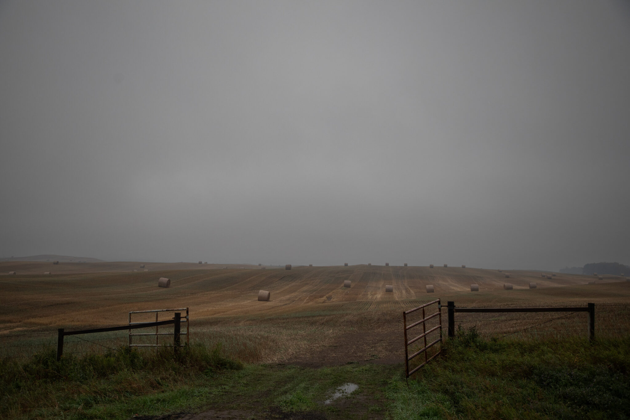 Pathways Alliance’s $16B plan to bury carbon under rural Alberta | The ...