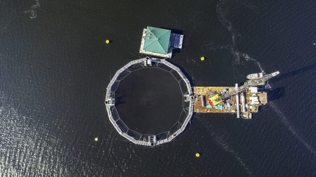 B.C. fish farm story goes global | The Narwhal