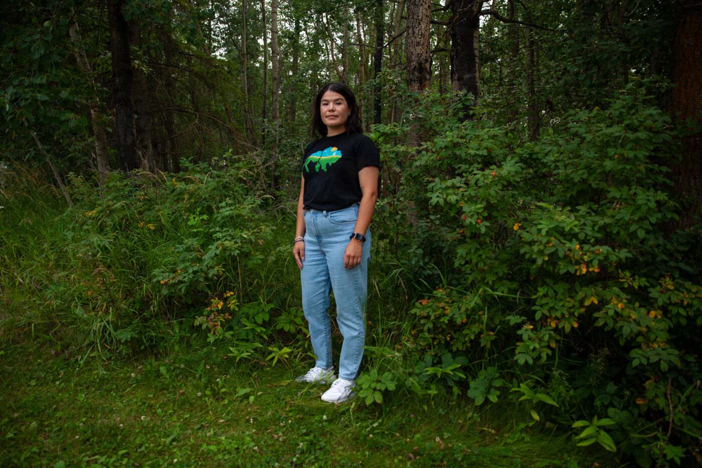 Indigenous nations are bringing buffalo back