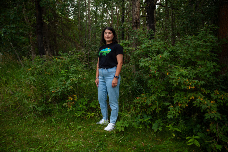 Indigenous nations are bringing buffalo back
