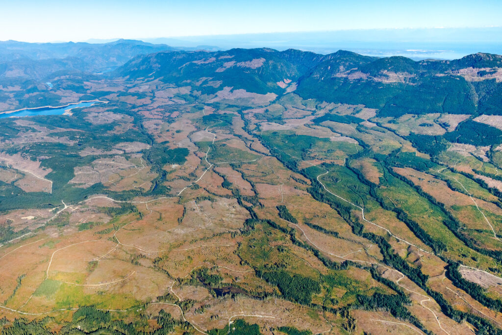 Logging rules in B.C.’s private forests | The Narwhal