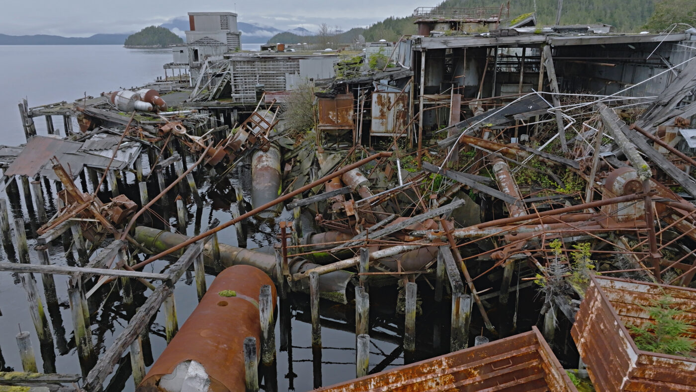 The Great Bear Rainforest is protected, but still being polluted | The ...
