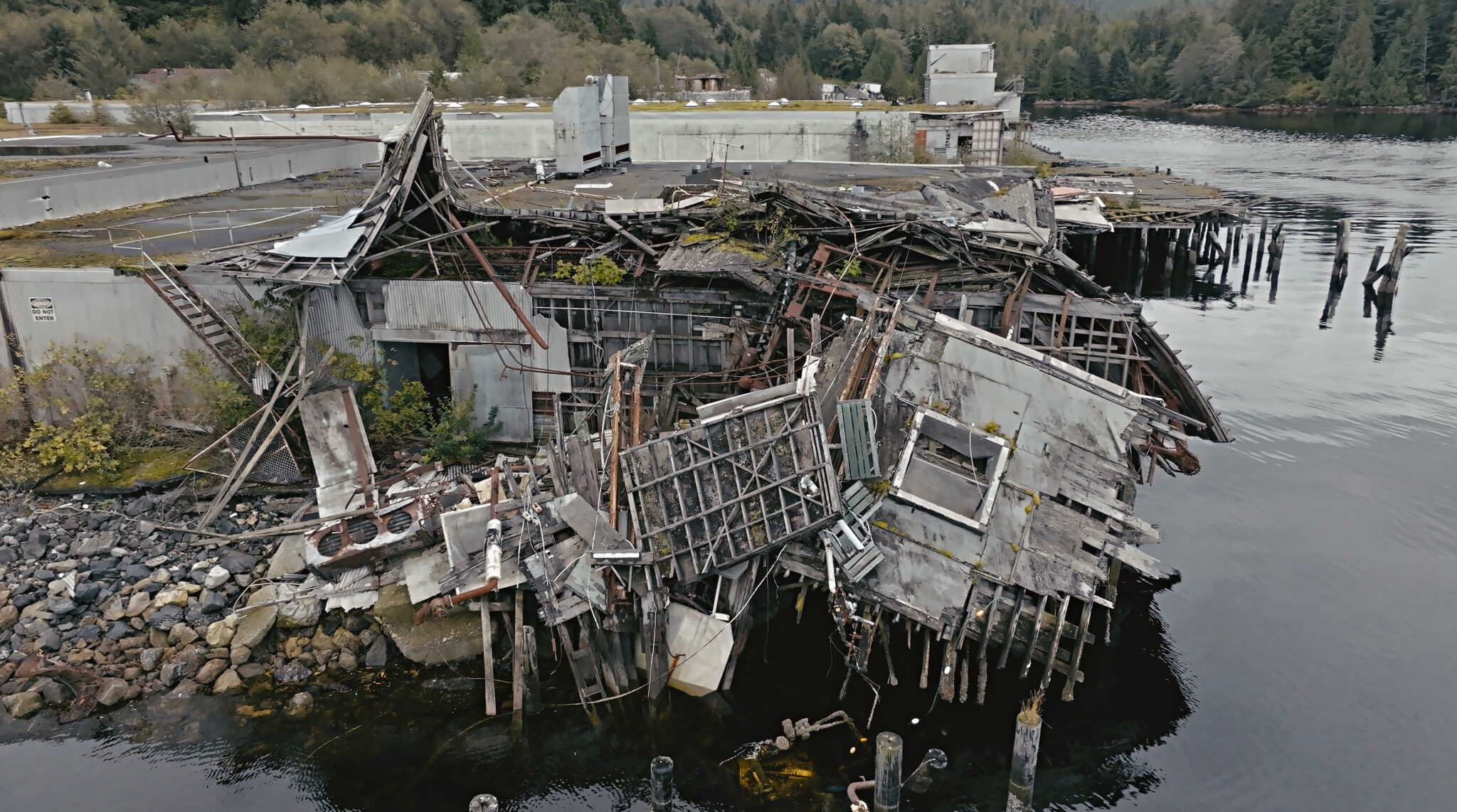 The Great Bear Rainforest is protected, but still being polluted | The ...