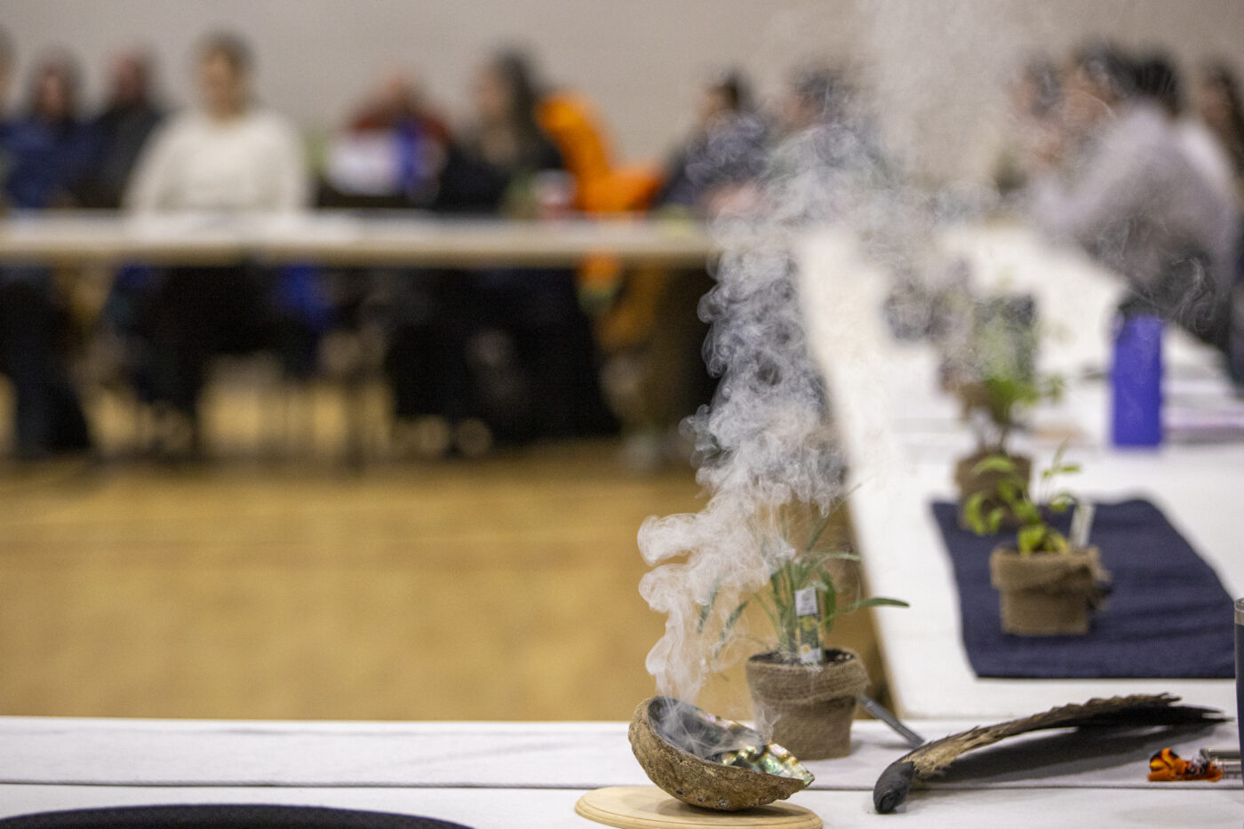 In Sarnia, Aamjiwnaang First Nation and Canada tackle environmental ...