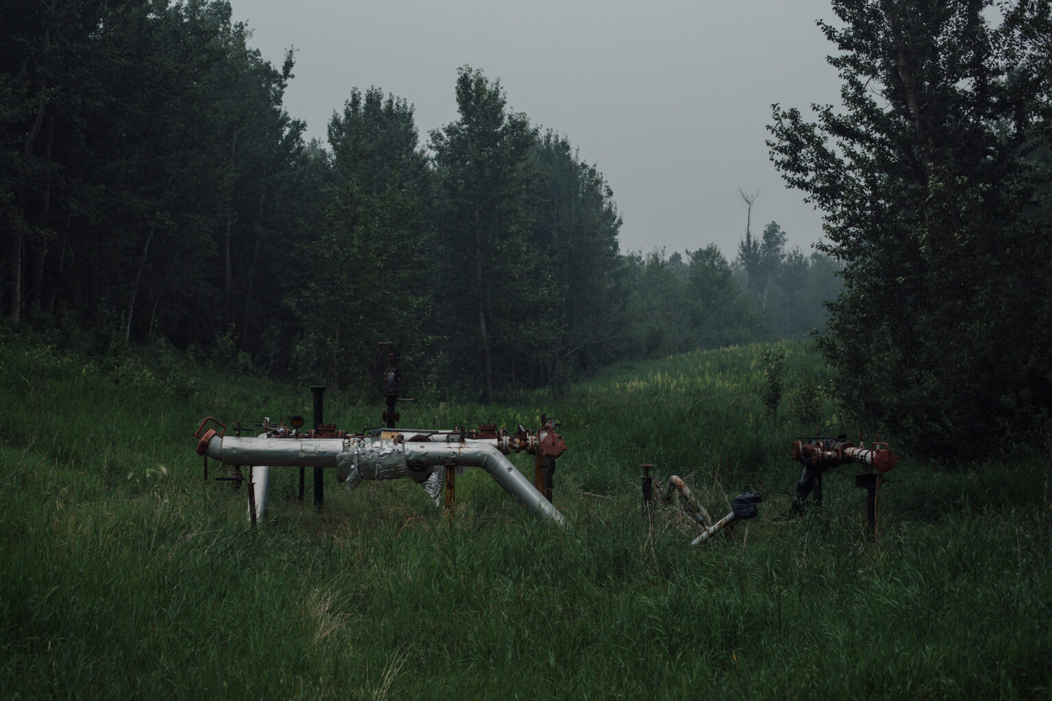 British Columbia’s energy regulator, explained | The Narwhal