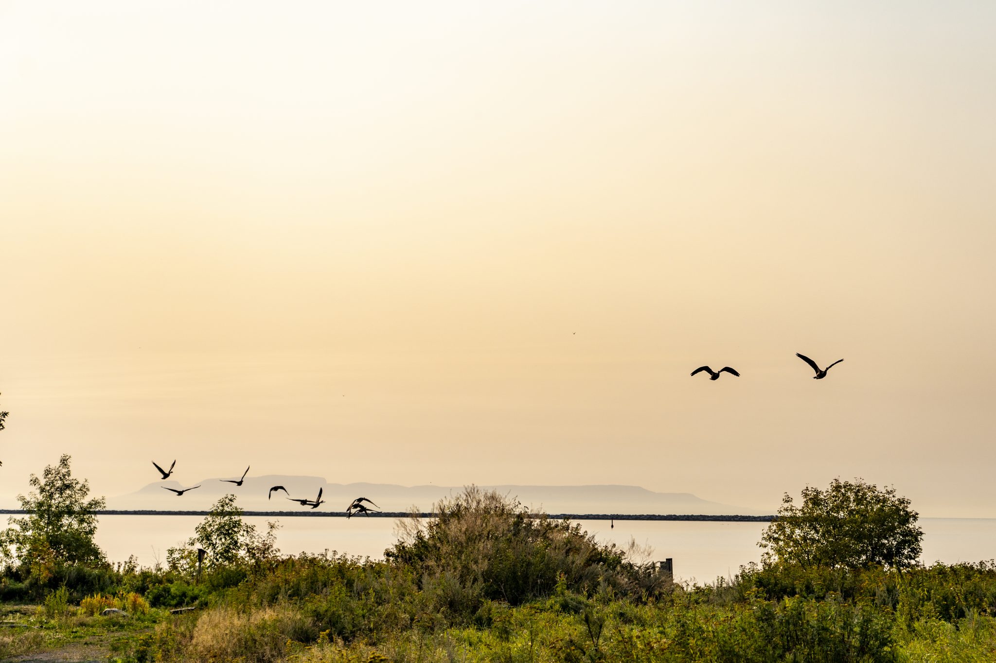 Thunder Bay gets its Great Lakes shoreline back | The Narwhal
