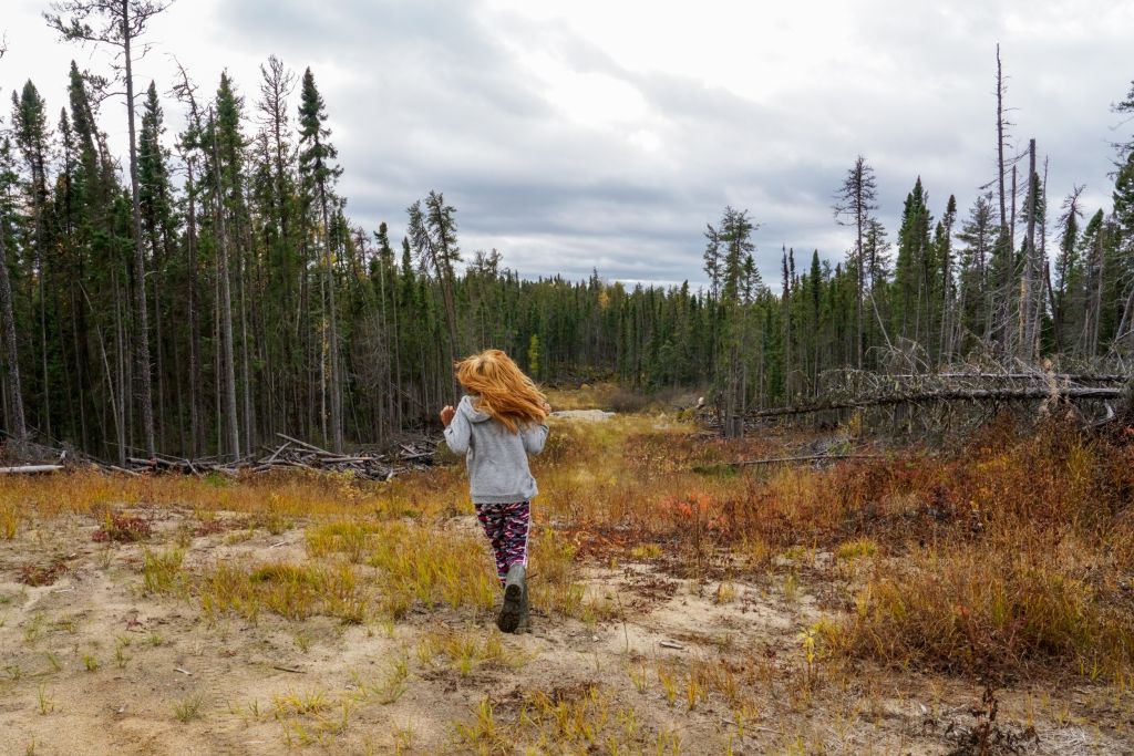 Ontario Ring of Fire: News and Updates | The Narwhal