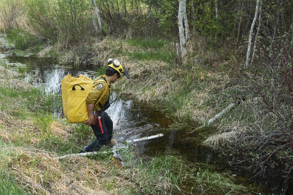 Why is this year so bad for Manitoba wildfires? | The Narwhal