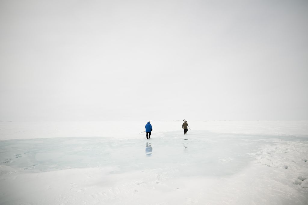 Real Ice: the plan to refreeze the Arctic | The Narwhal