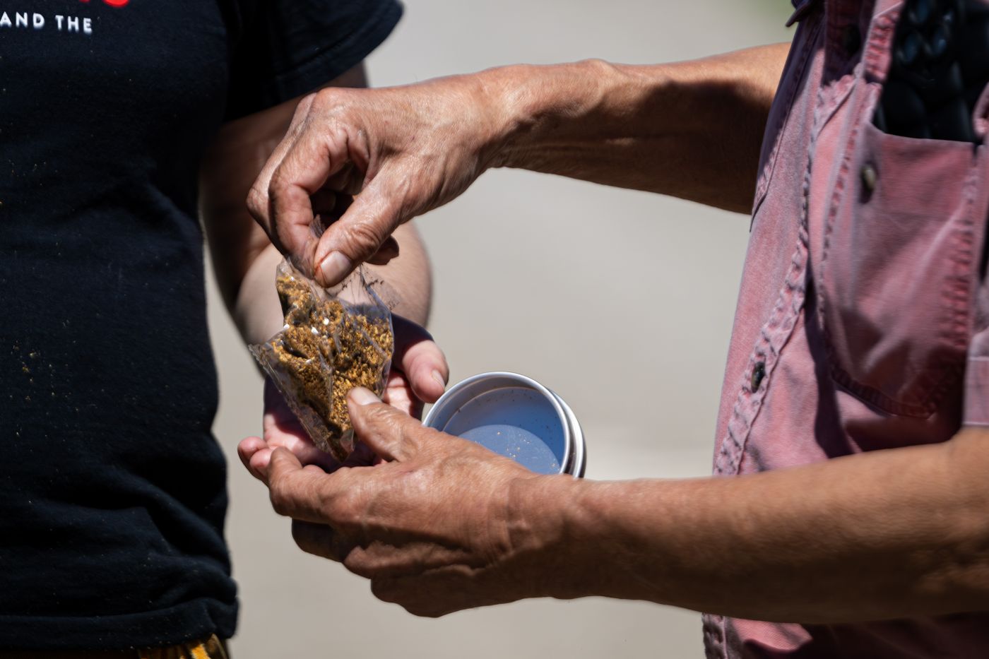 Kainai Nation: the first Indigenous fire guardians program in Canada ...