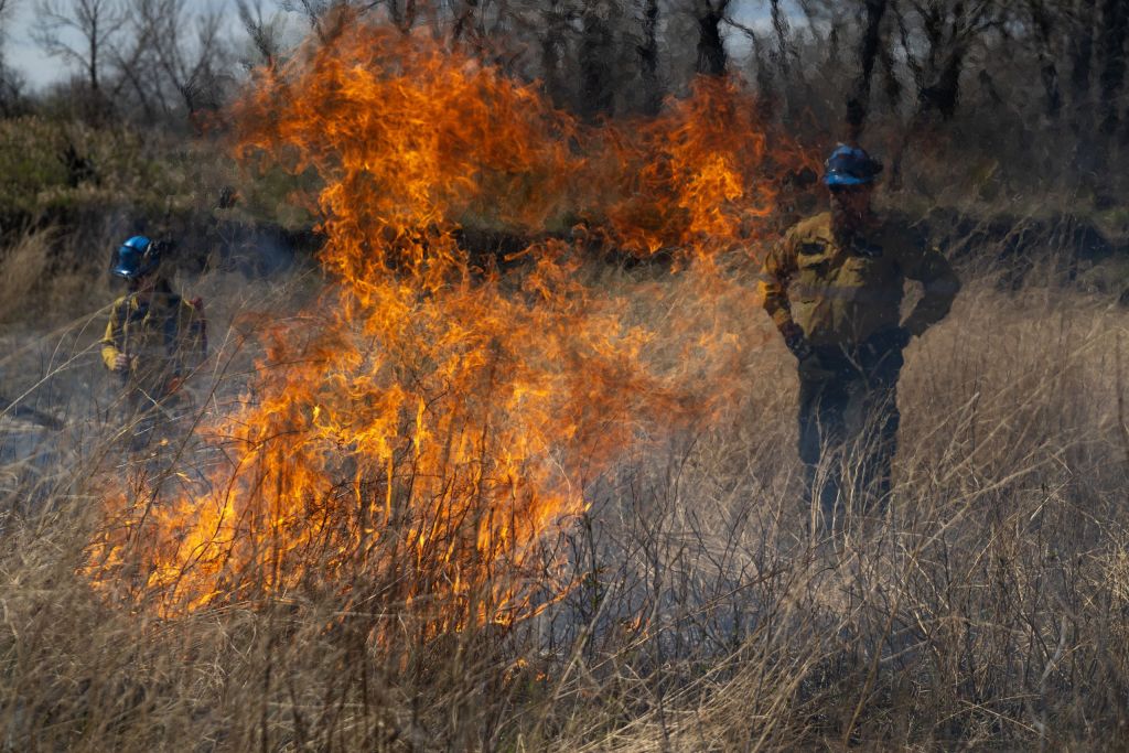 Kainai fire guardians rekindle old flames | The Narwhal