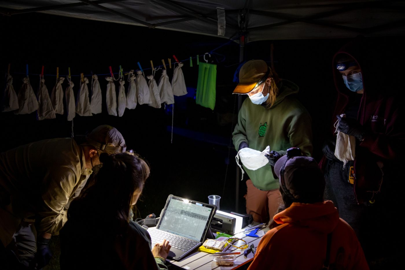 Shawanaga First Nation gathers to help endangered bats | The Narwhal