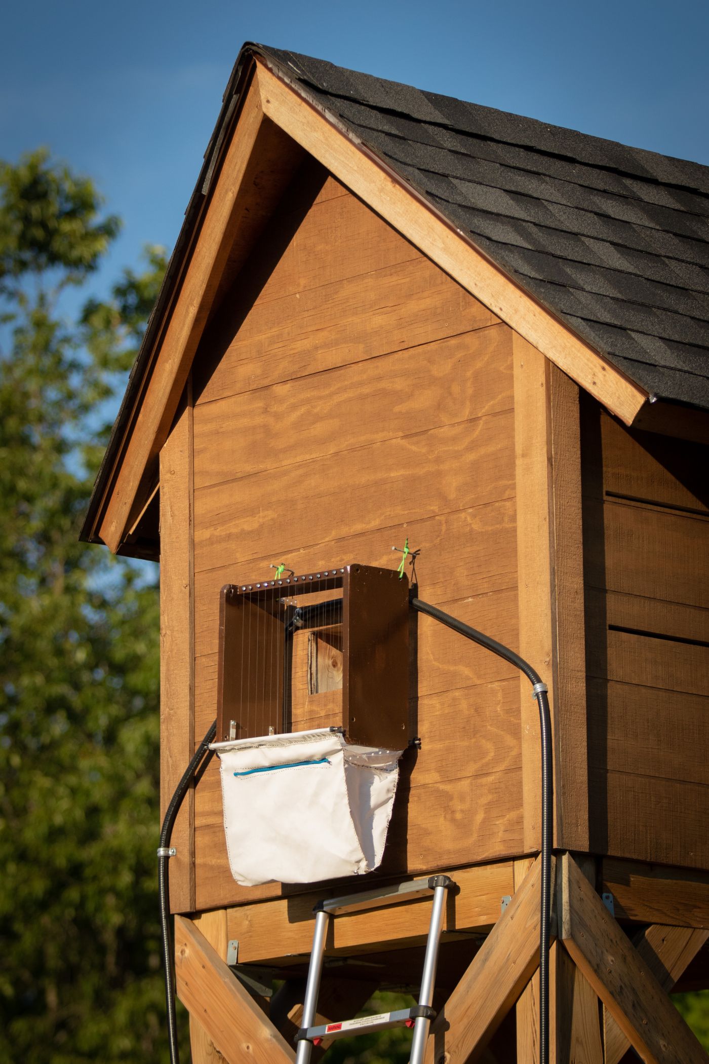 Shawanaga First Nation gathers to help endangered bats | The Narwhal