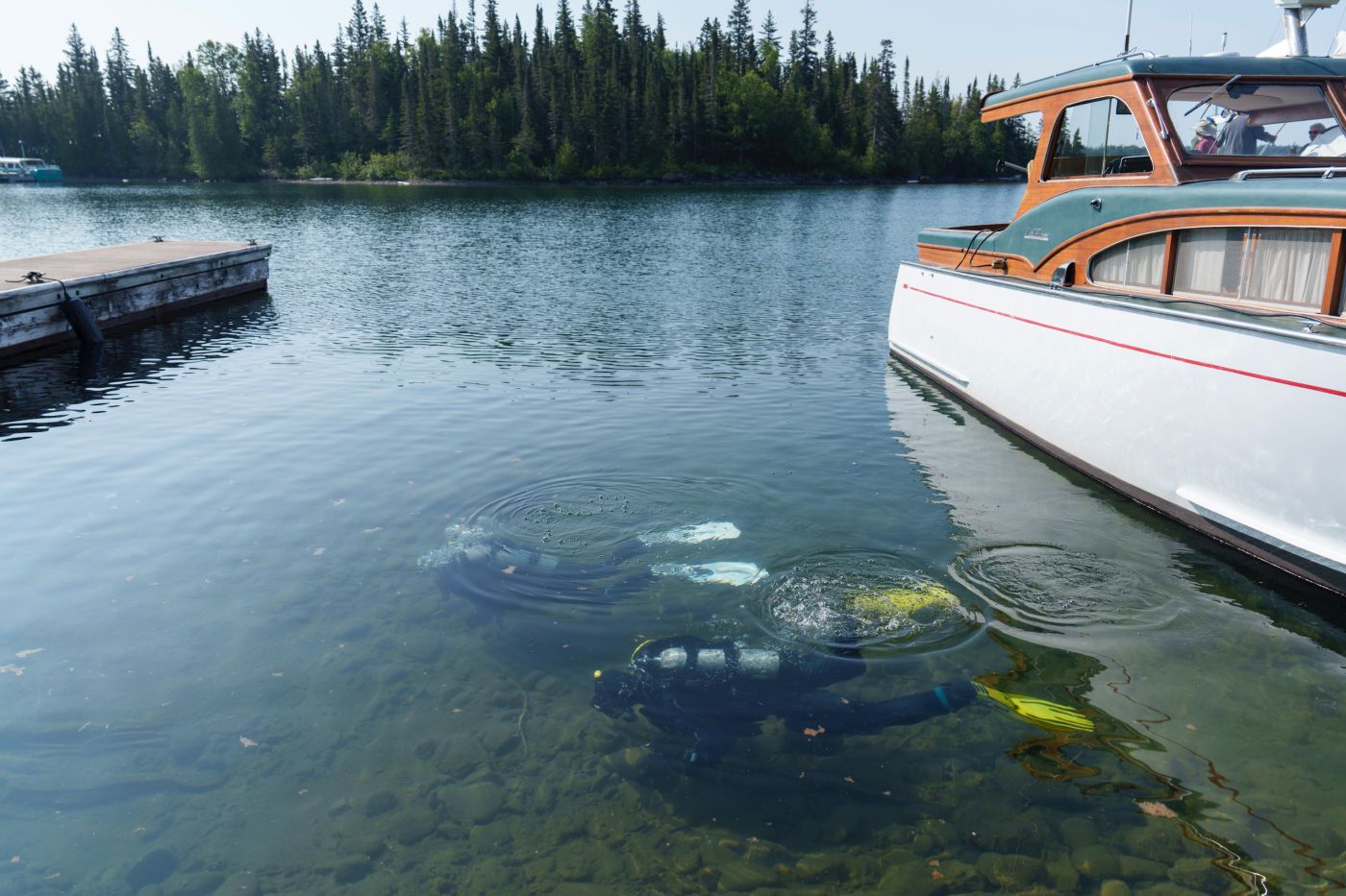Can Lake Superior hold off invasive mussels? | The Narwhal